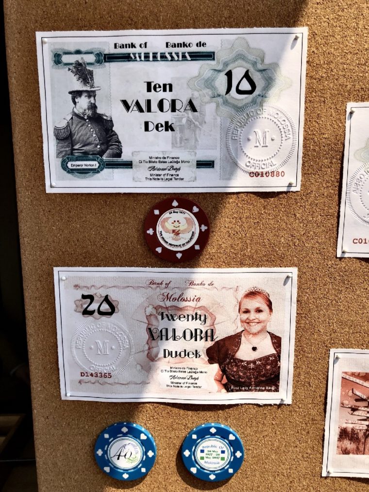 Journey to The Republic of Molossia - Ramblin' Randy